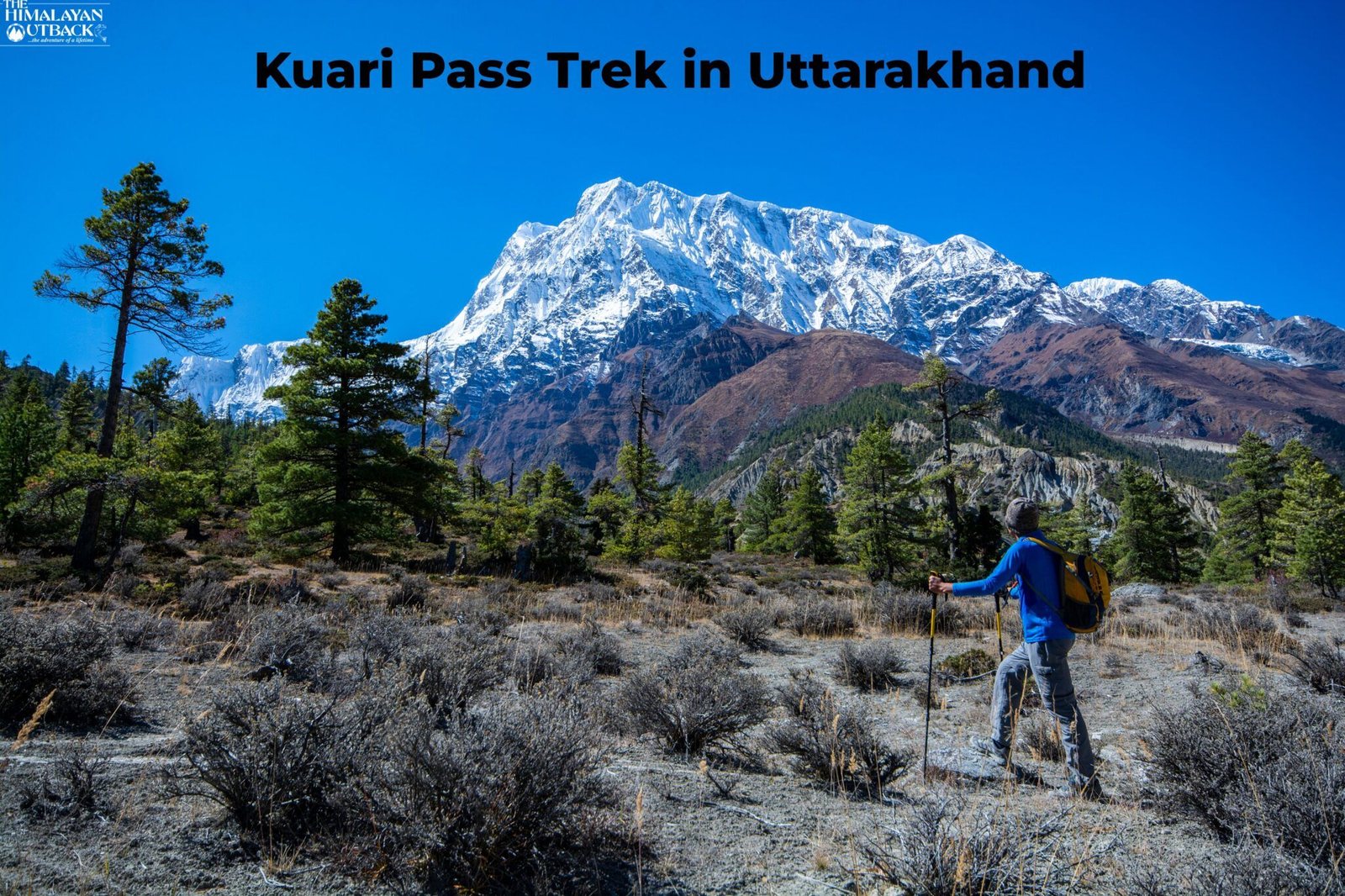 Discover the Kuari Pass Trek in Uttarakhand - Himalayan OutBack