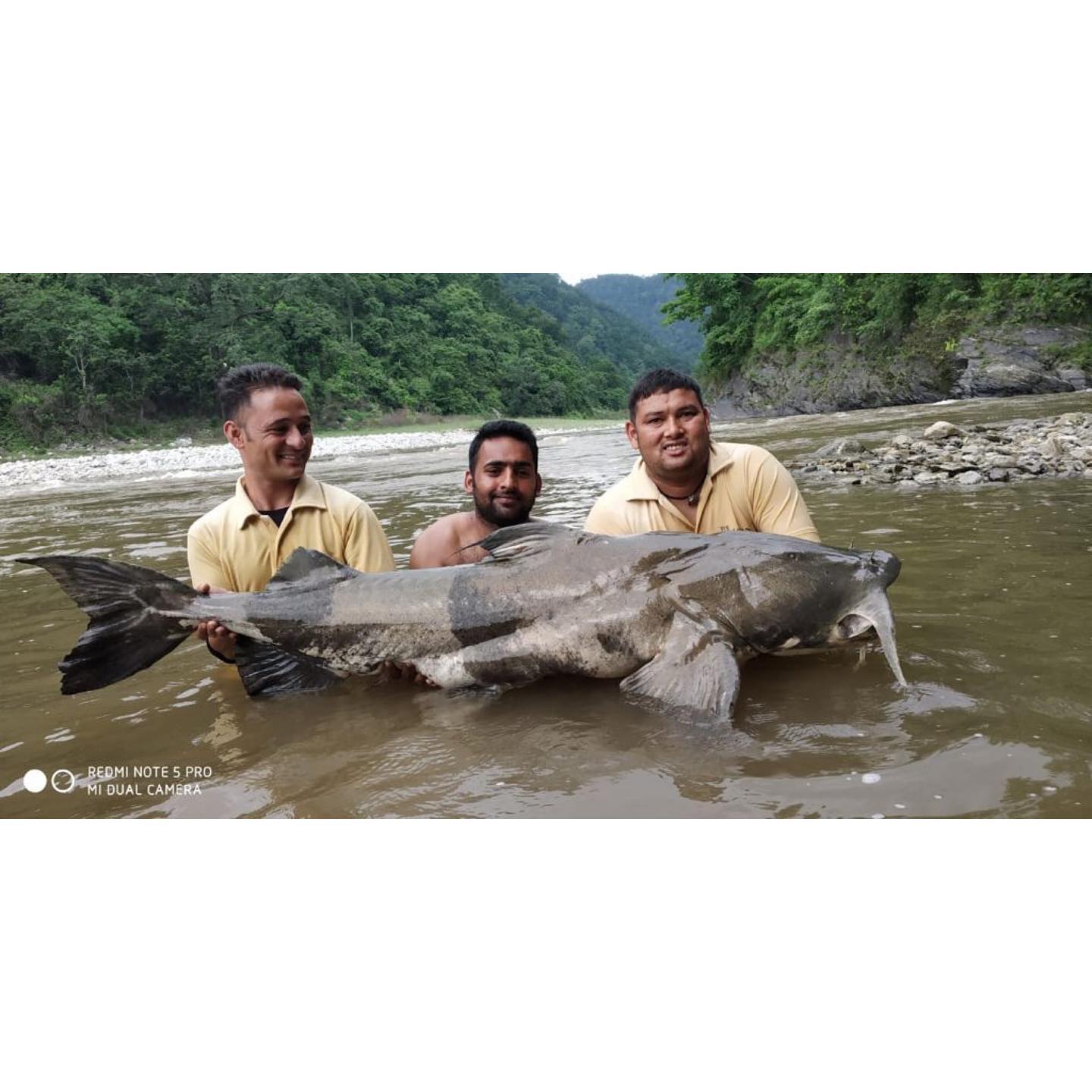 Top Destinations for Goonch Catfish Angling in South Asia - Himalayan ...