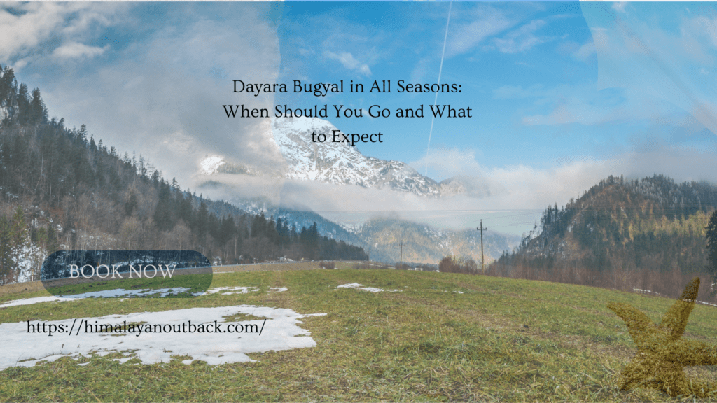 Dayara Bugyal Trek Guide: Best Season & What to Expect - Himalayan OutBack