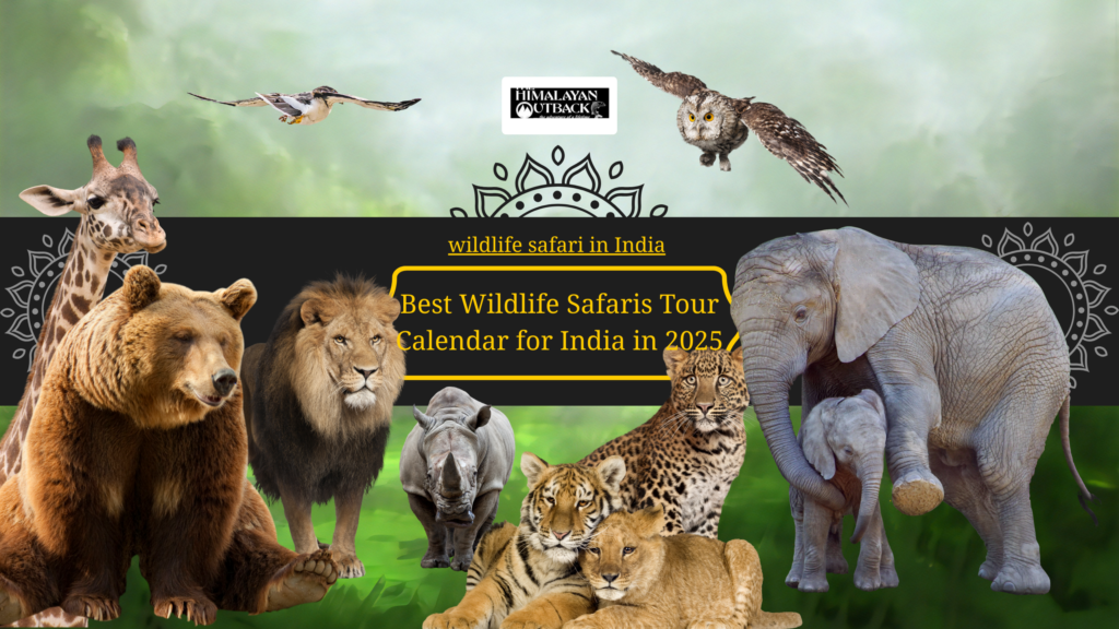 Best Wildlife Safaris Calendar India 2025 | Safari Planning Guide ...